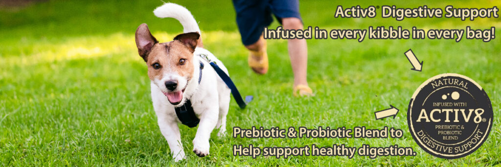 Replenish Dog & Cat Foods – Replenish Pet